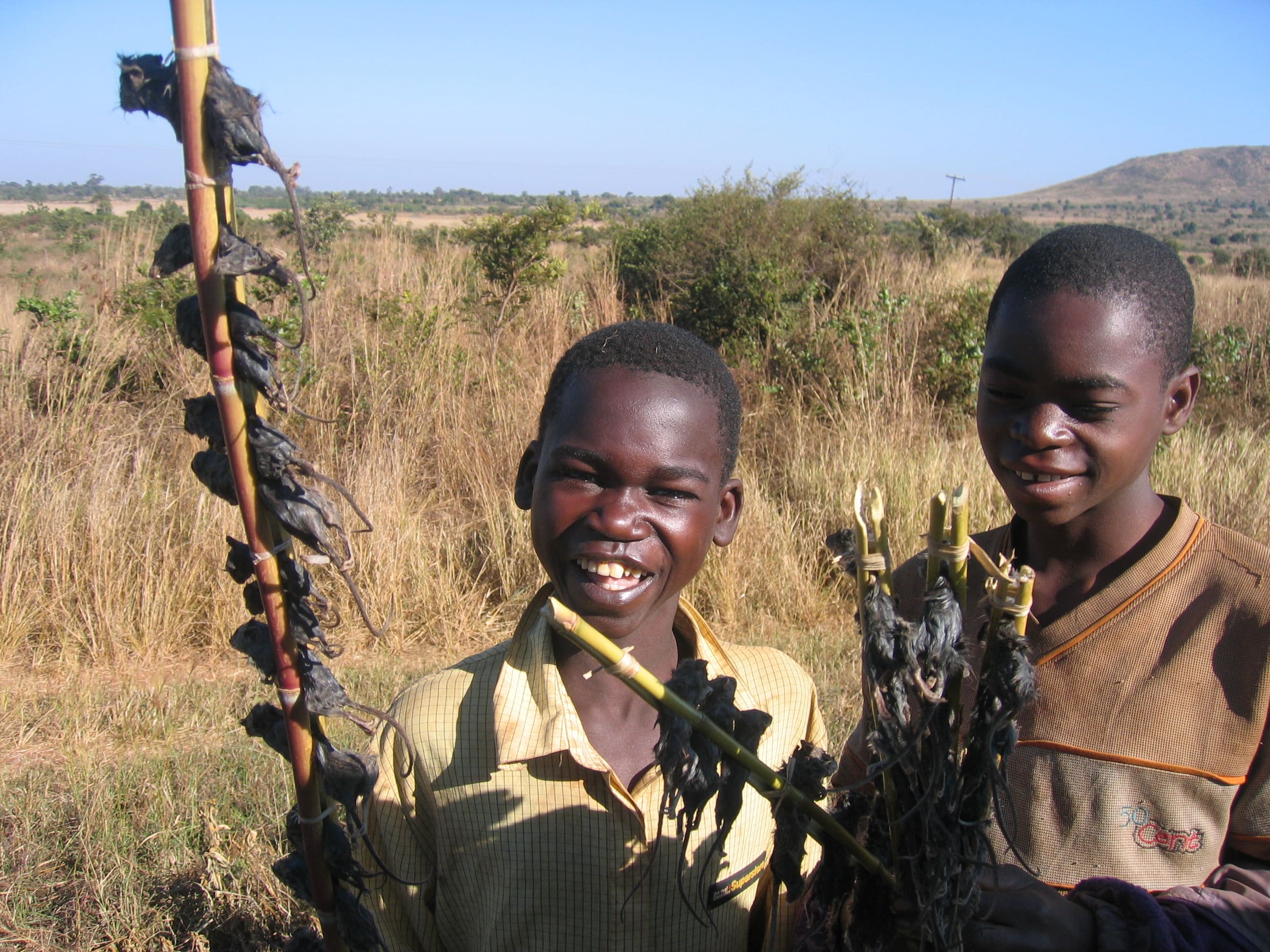 Craig Holt | I have a writing habit